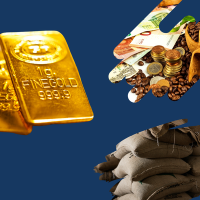 Assets for Inflation Protection - CalTier